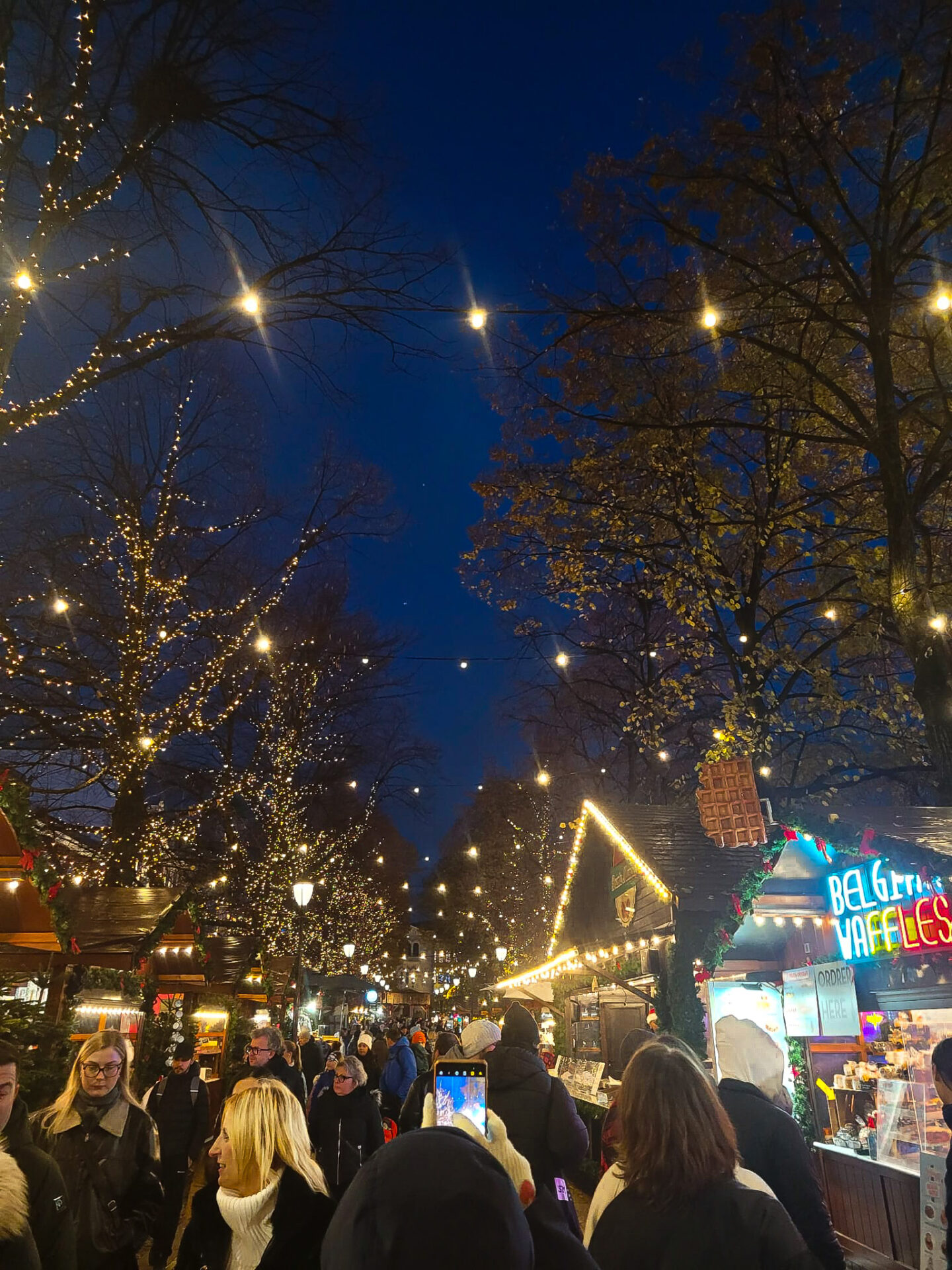 3 Days in Oslo: Ultimate Winter Itinerary on a Budget